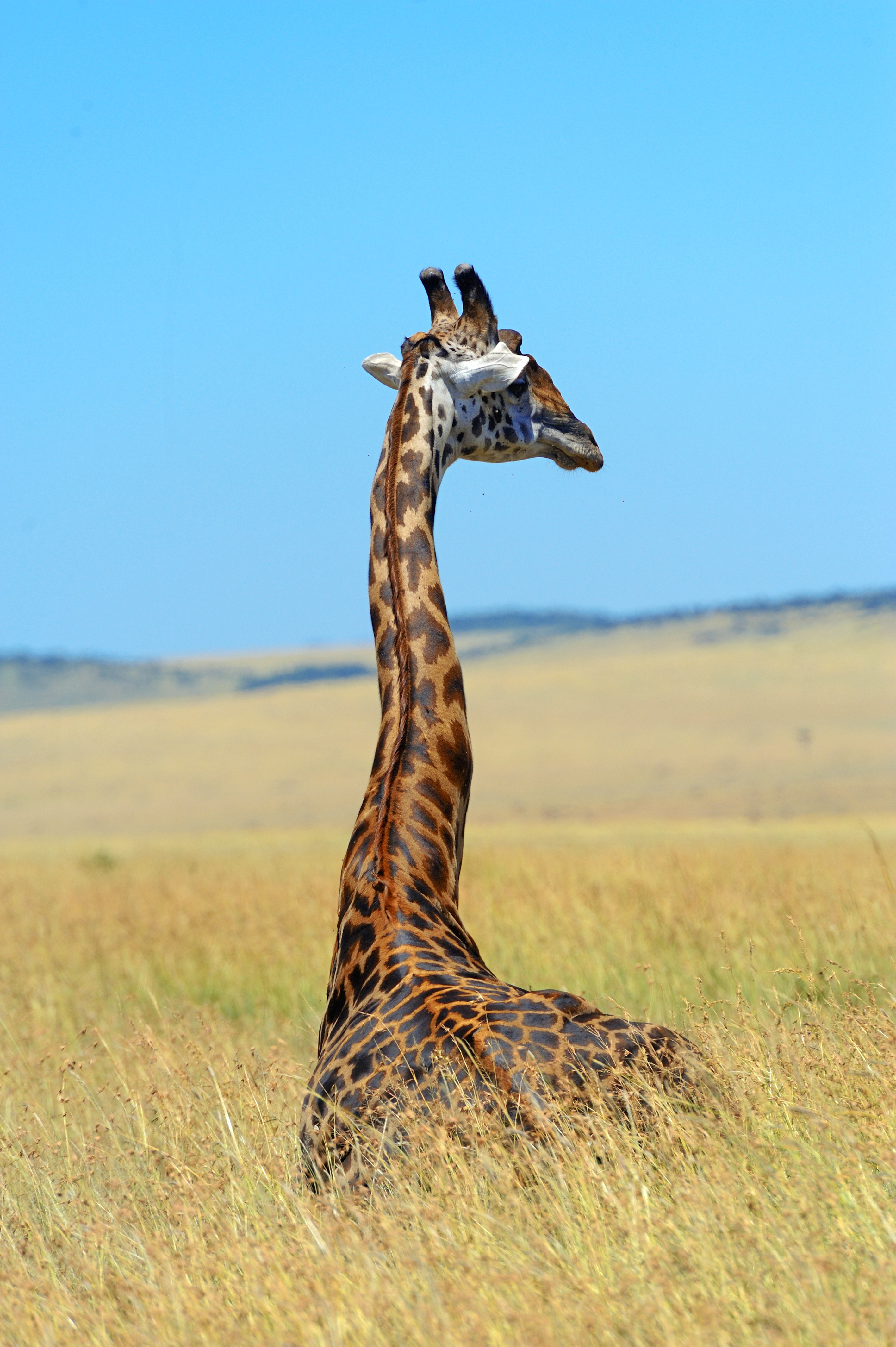 Suchergebnisse | E-Learning@THWS